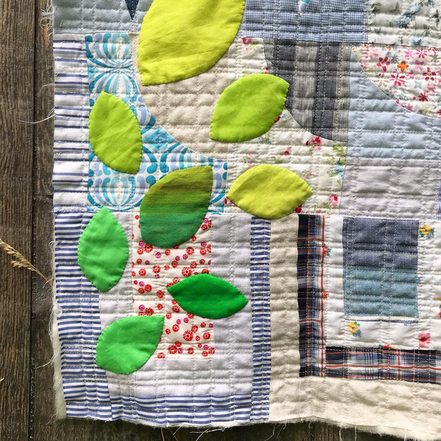 Beech Canopy Quilt • Jo Avery - the Blog